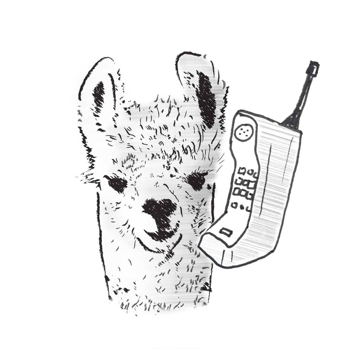 LLAMA INN - Llama Inn Madrid